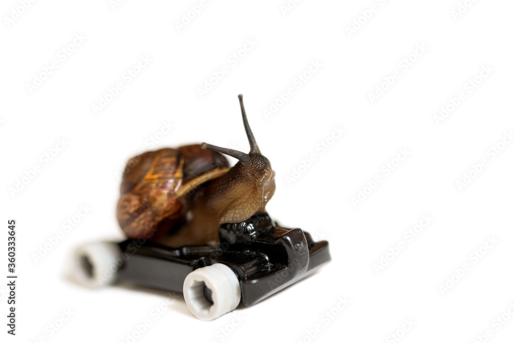 Children's car, time, speed and rush. success concept.Speedy snail.car ...