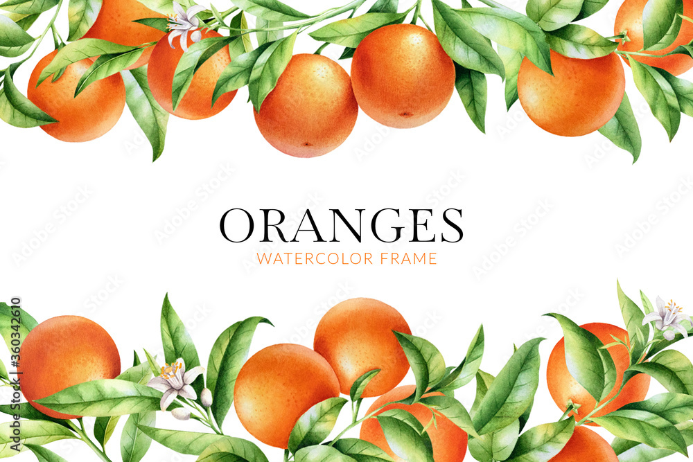 Orange tree branches frame template. Isolated layout for package design ...