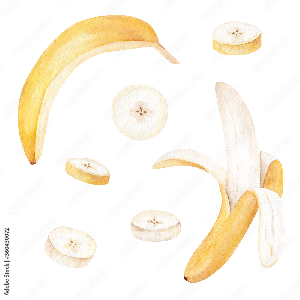 Banana tropical fruit watercolor clipart. Hand painted food ...