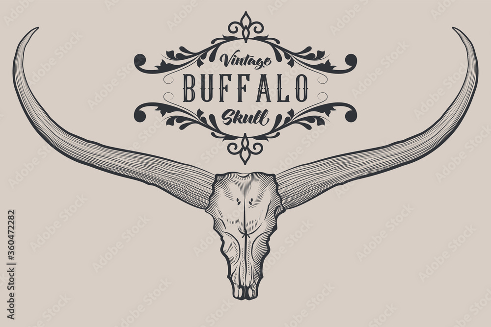 Buffalo Skull Engraving and Tattoo Design Style, Skull with Long Horns ...