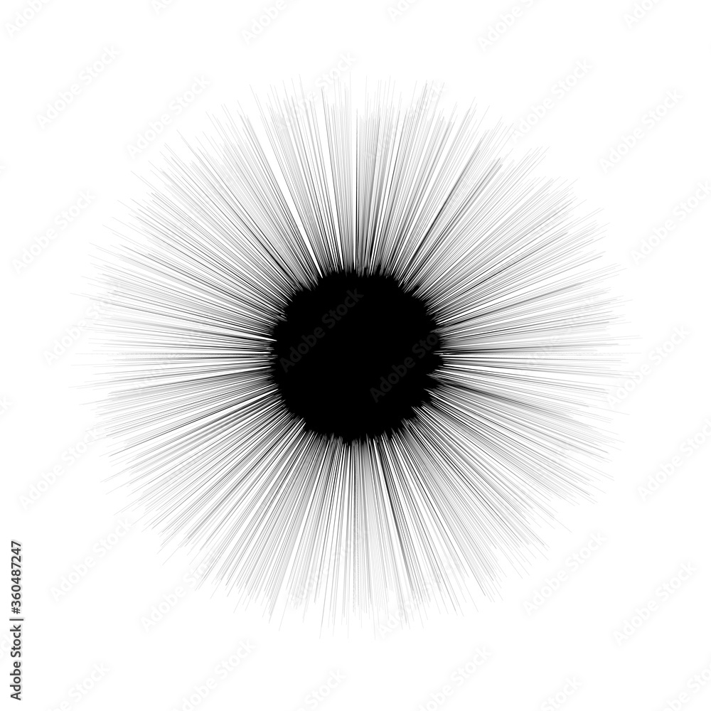 black lines circle shape isolated on white background, sea urchin ...