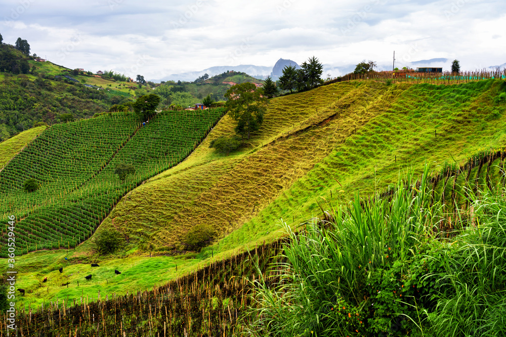 Panoramic view of foggy and misty mountains and highlands in the ...