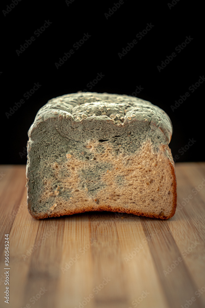 A close up face profile of a loaf of moldy multigrain oat bread that ...