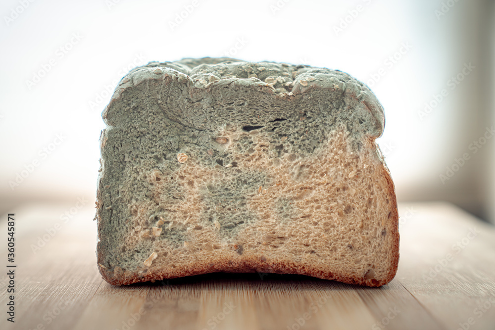 A close up face profile of a loaf of moldy multigrain oat bread that ...