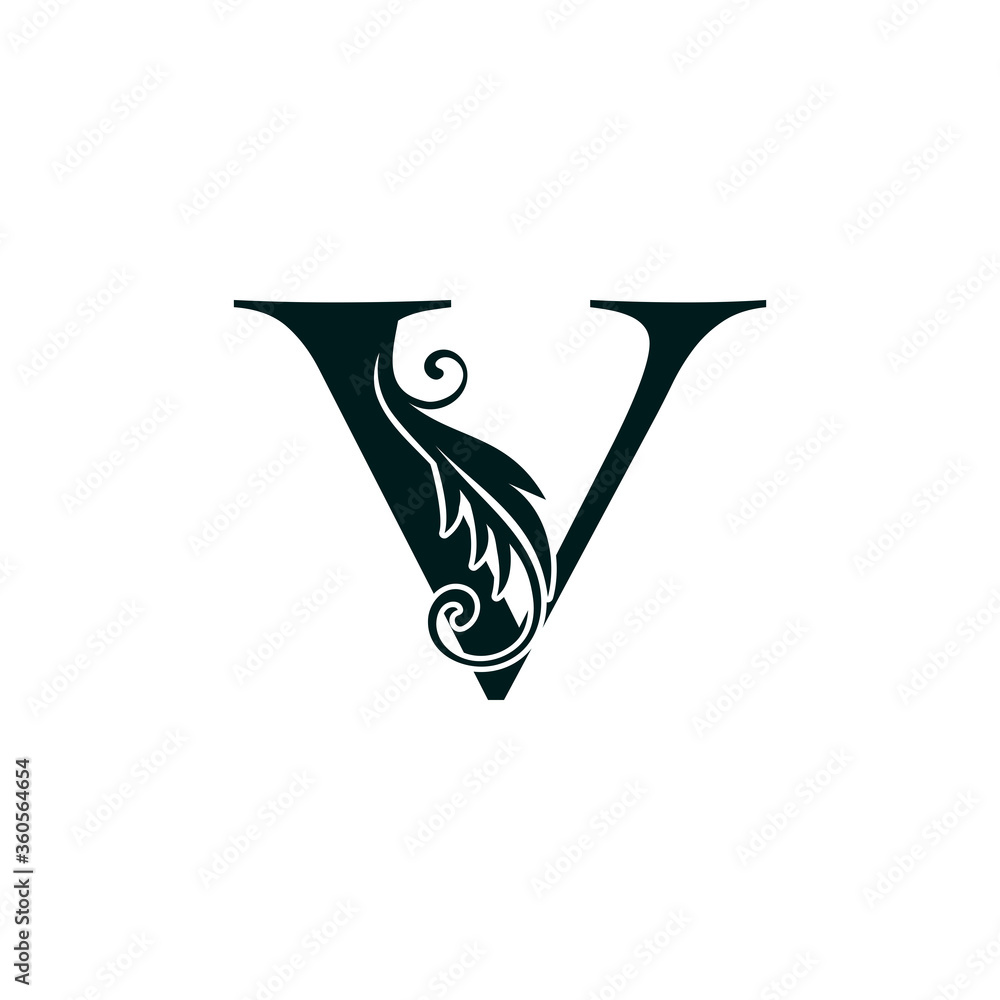 Alphabet V In Different Designs