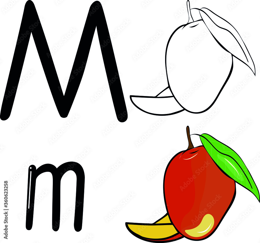 Alphabet, letter M with coloring outline and mango. Flashcards for ...
