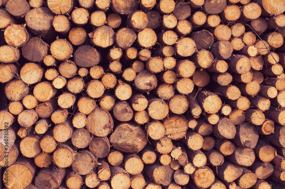 Stock of chopped firewood in the form of stumps of small diameter ...