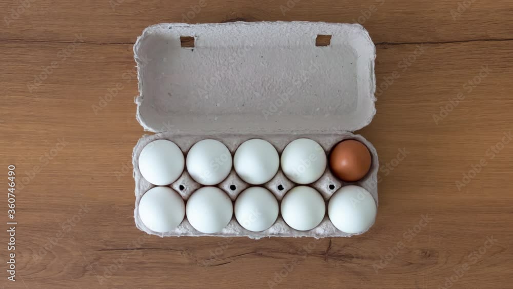 the brown egg goes back and forth. eggs at breakfast. stop motion ...