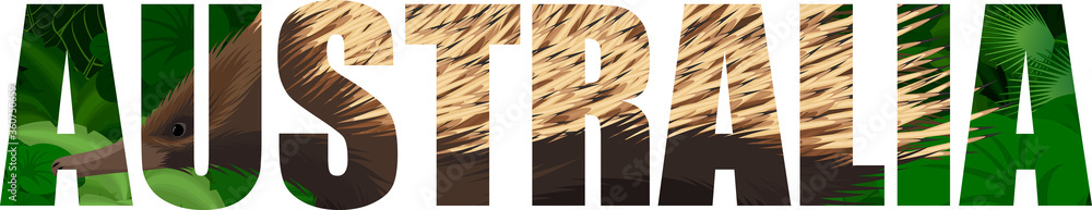 vector Australia word with Short-beaked Echidna Stock Vector | Adobe Stock