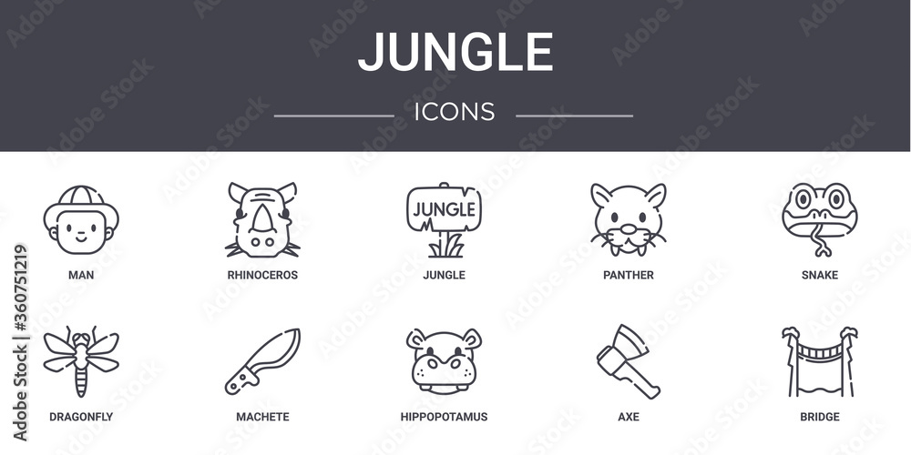 jungle concept line icons set. contains icons usable for web, logo, ui ...