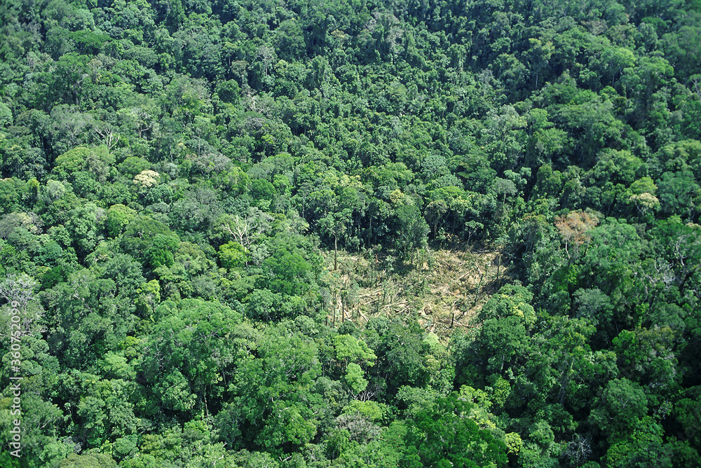 Aerial view of the Amazon Forest near Serra do Navio City, Amapa State ...