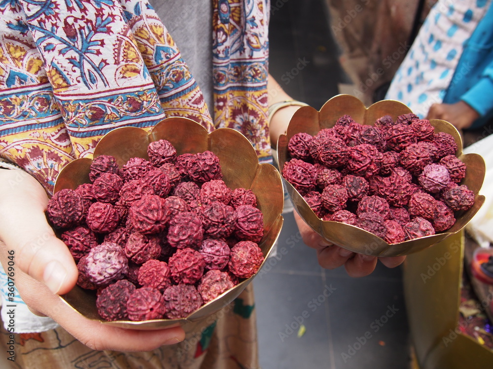 A bodhi tree fruit called Rudraksha, which is treated respectfully ...