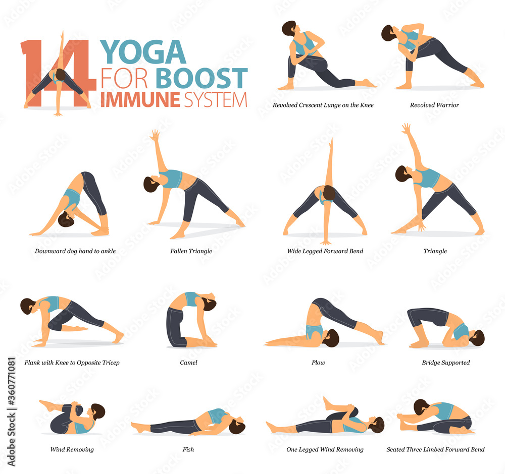 14 Yoga poses for workout in boost immune system concept. Woman ...