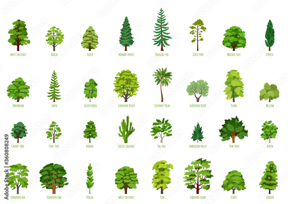 Big Vector cartoon set with trees isolated Stock Vector | Adobe Stock
