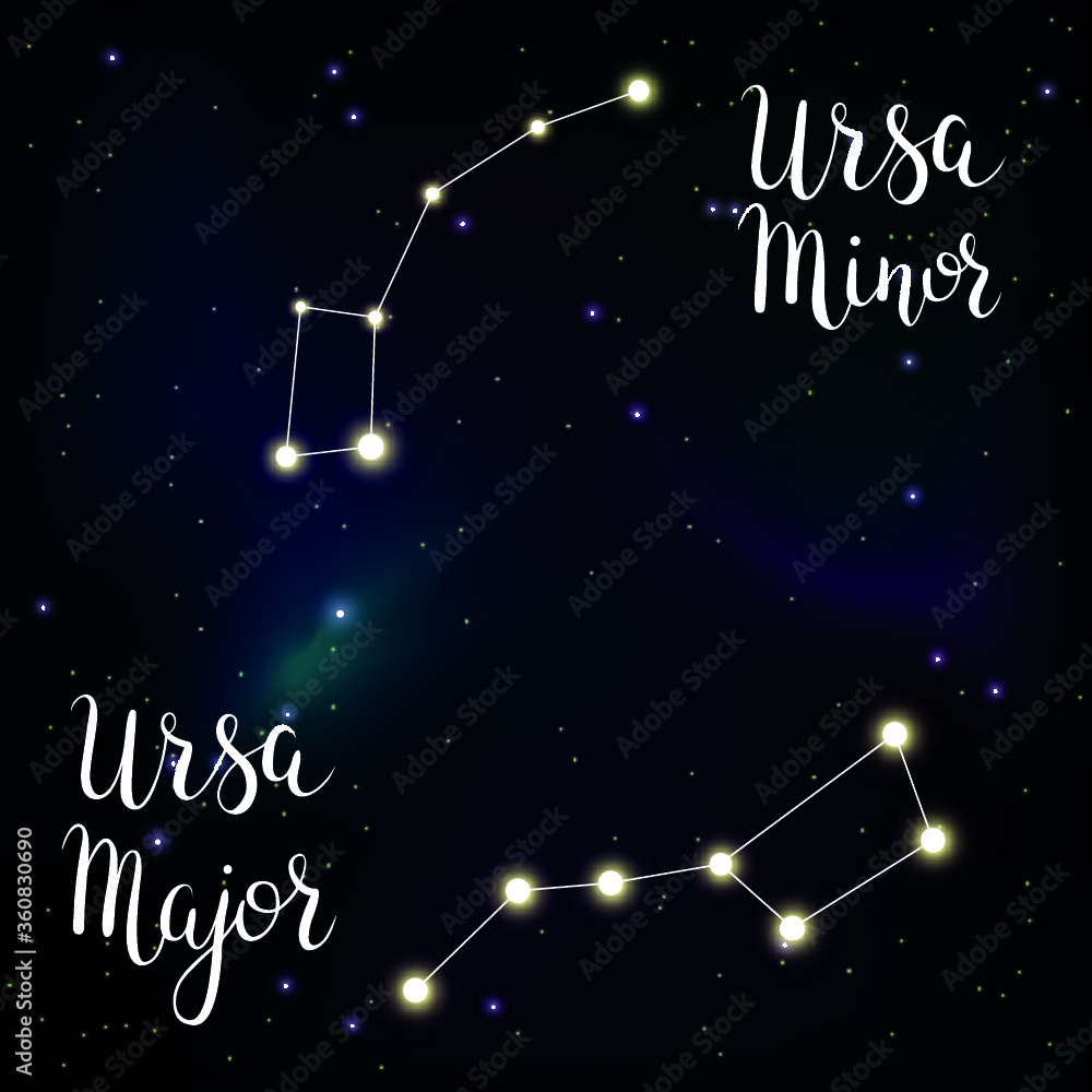 Vector illustration of constellations Ursa Major and Ursa Minor with ...