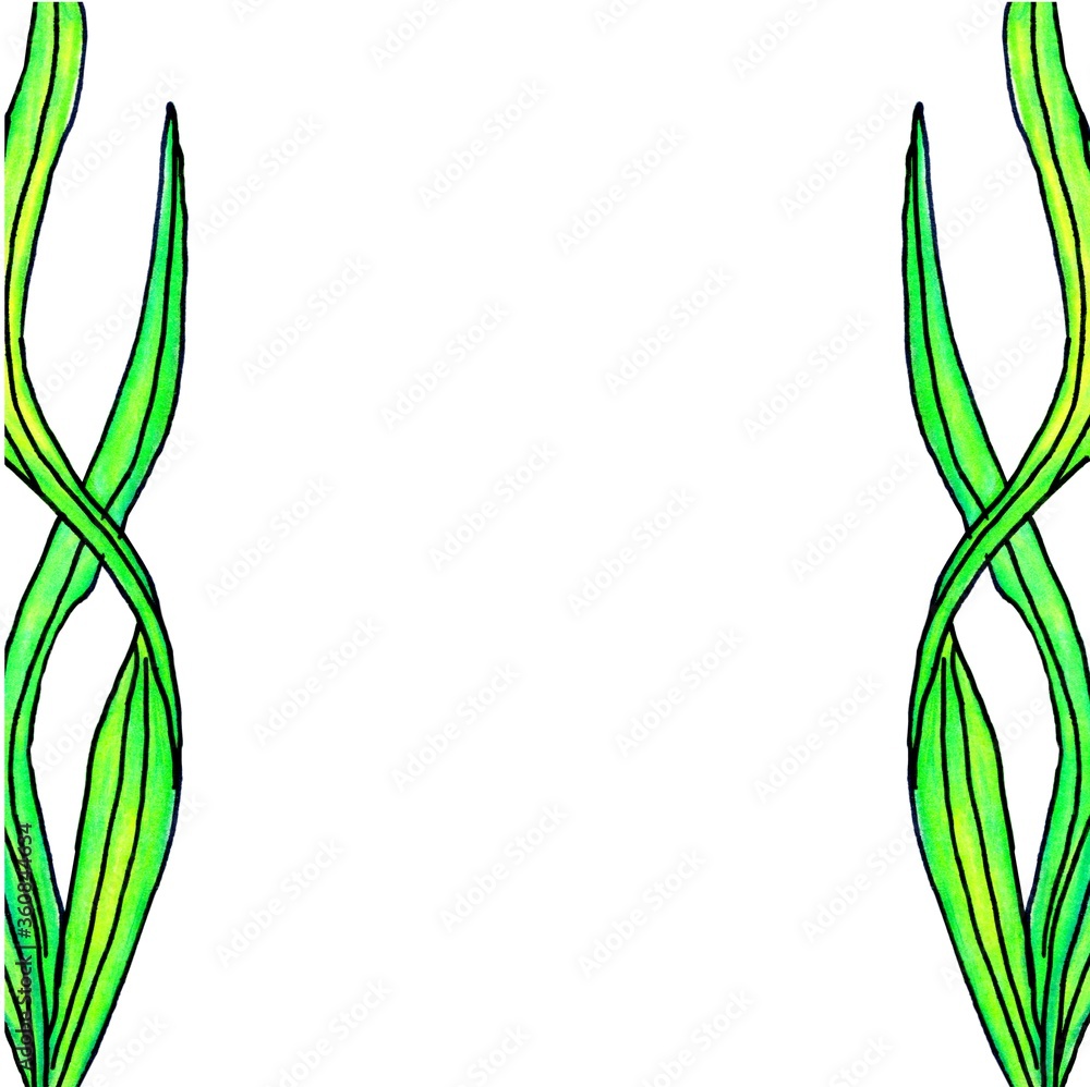 square frame with green algae on the edgessquare frame with green algae ...