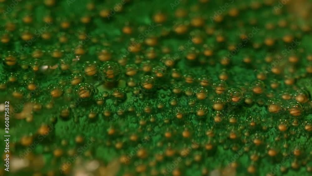 Vídeo do Stock: Copper. Copper oxidation process. Green bubbles close ...