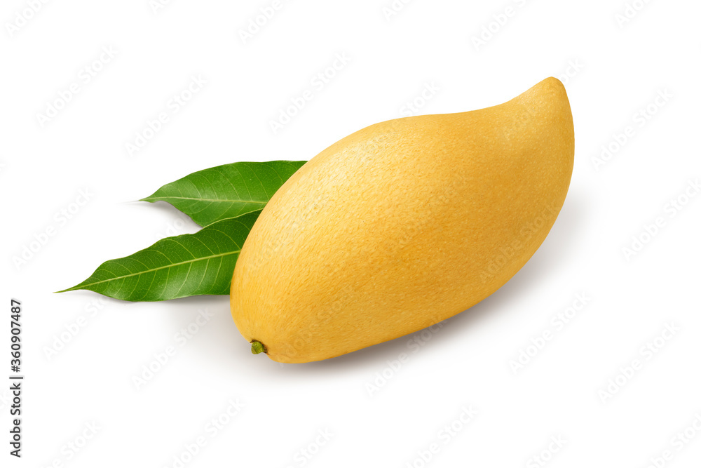 Yellow mango Thai fruit with green leaf isolated on white background ...