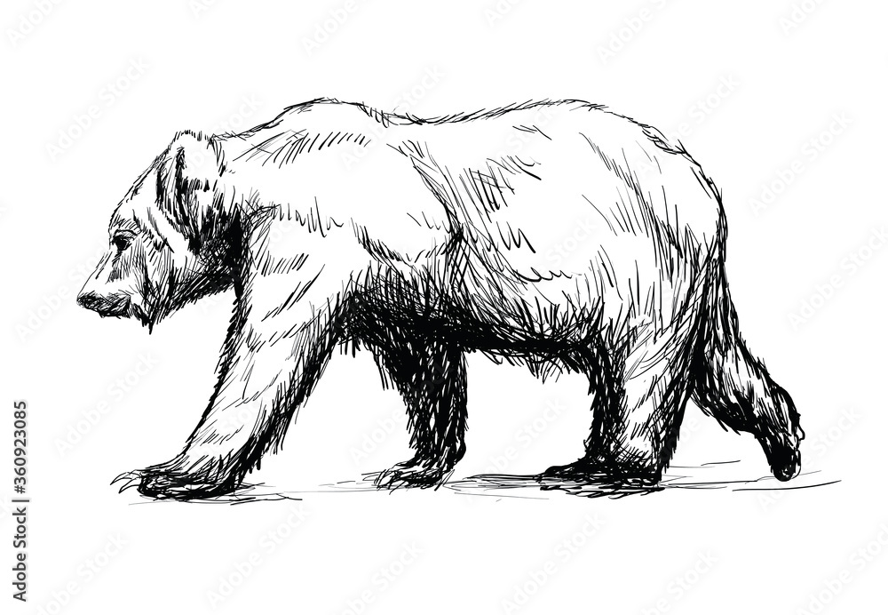 sad bear walking alone hand sketch drawing Stock Illustration | Adobe Stock
