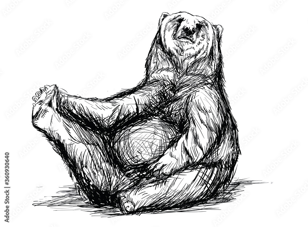 Sitting Bear Drawing