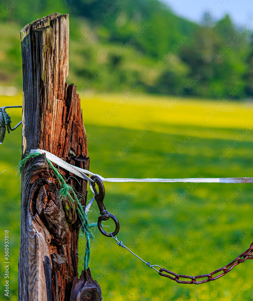Fence of horse farm with clasps and chains and rotted post. Stock Photo ...