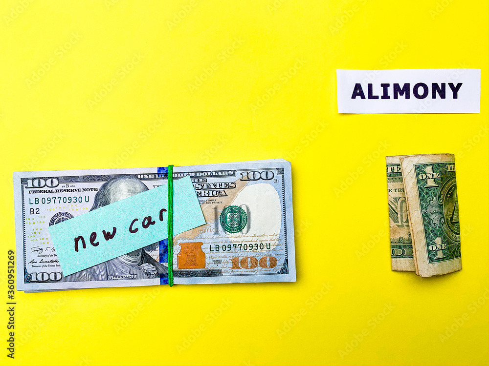 Concept demonstrates the payment of alimony, money allocated for the ...