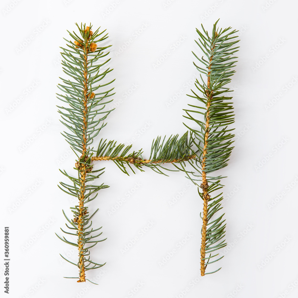 Letter H from green christmas-tree isolated on white. Natural Letter H ...