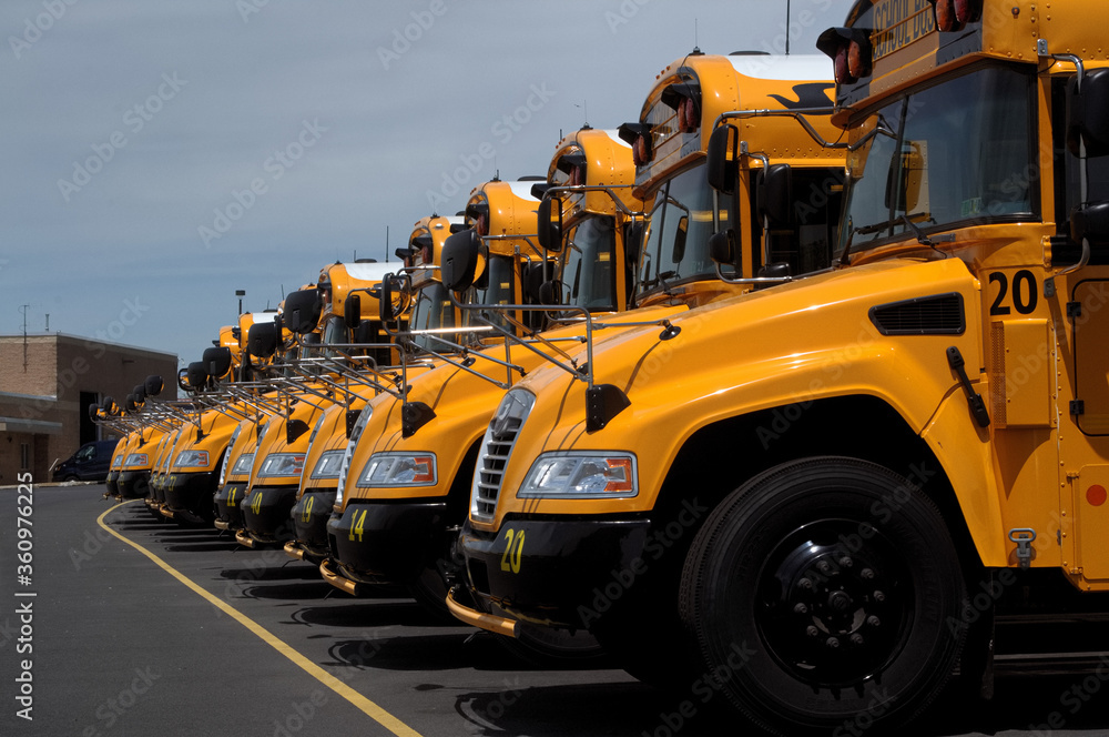 Line up of yellow school buses Stock Photo | Adobe Stock