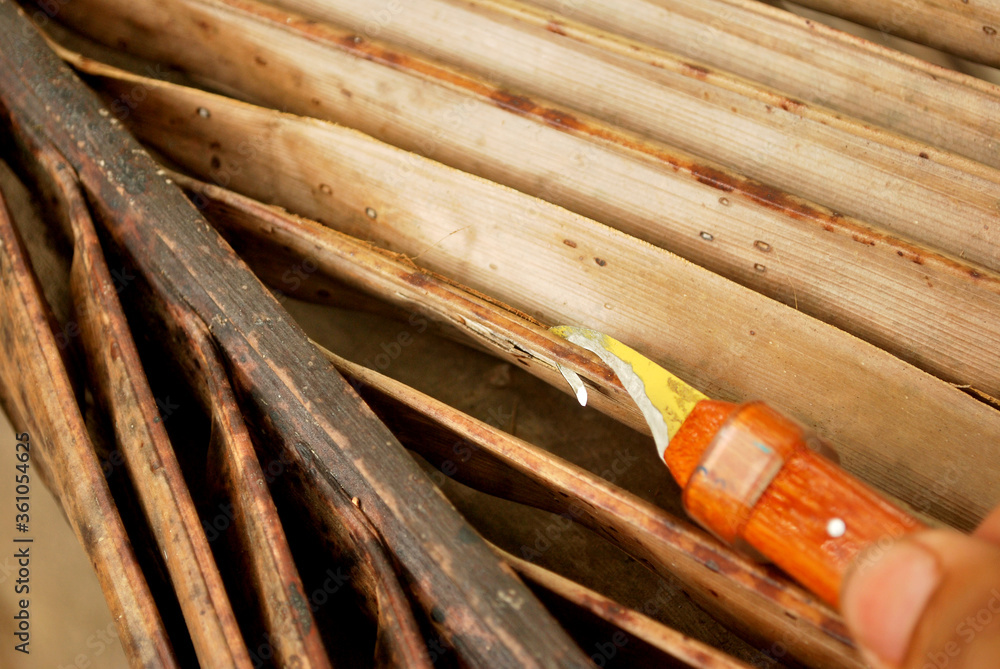 How to choose the way of coconut grove. How to cut the coconut tree ...
