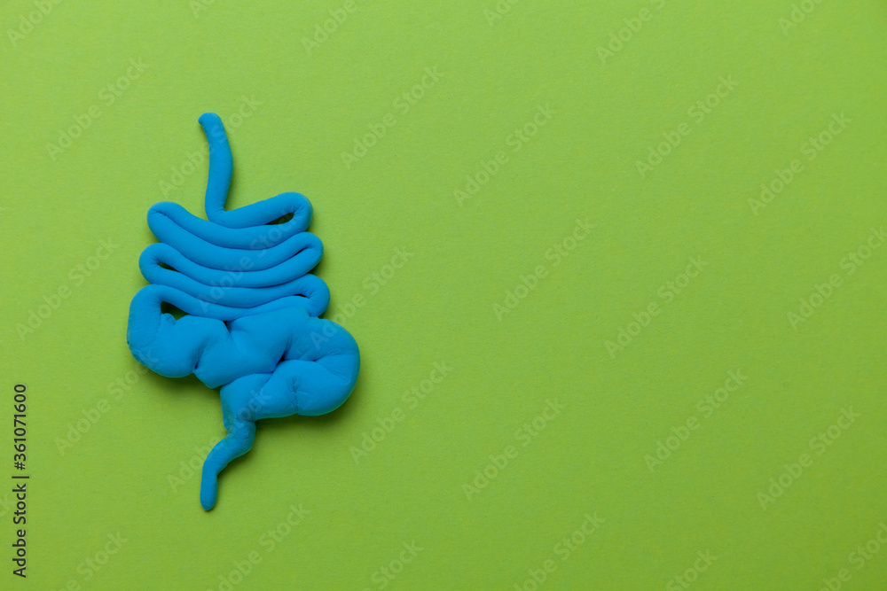 Human intestines on green background. Diarrhea and constipation ...
