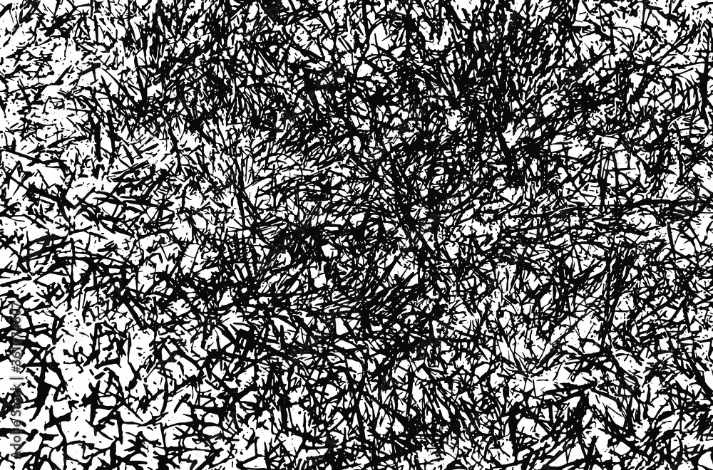 Grass texture. Nature background.Grunge texture. Grunge black and white ...