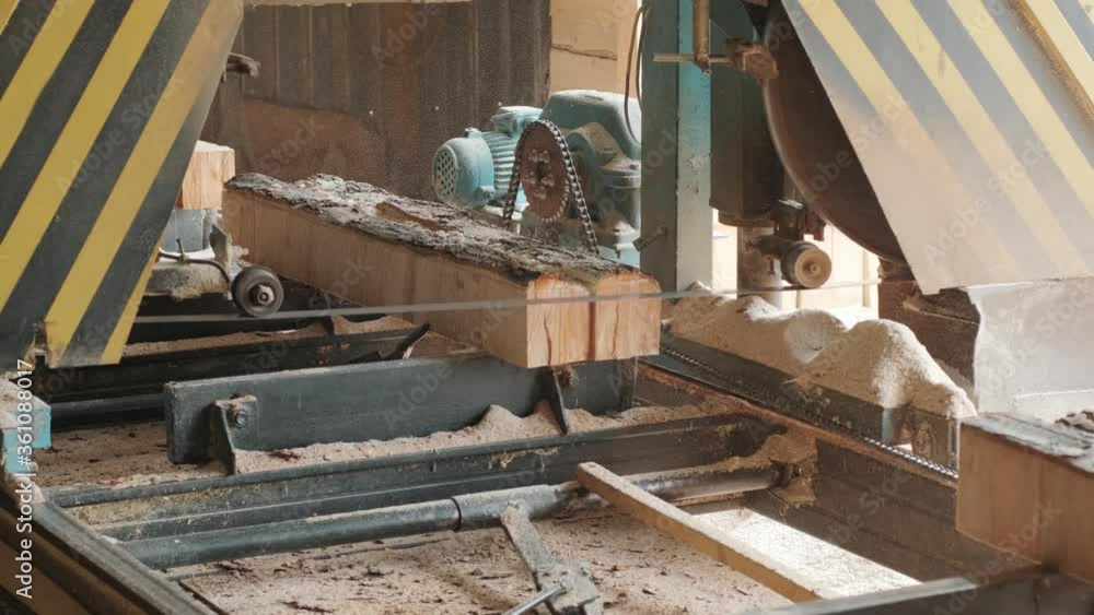 Vidéo Stock Closeup of cut pine tree log on sawing machine at wood ...