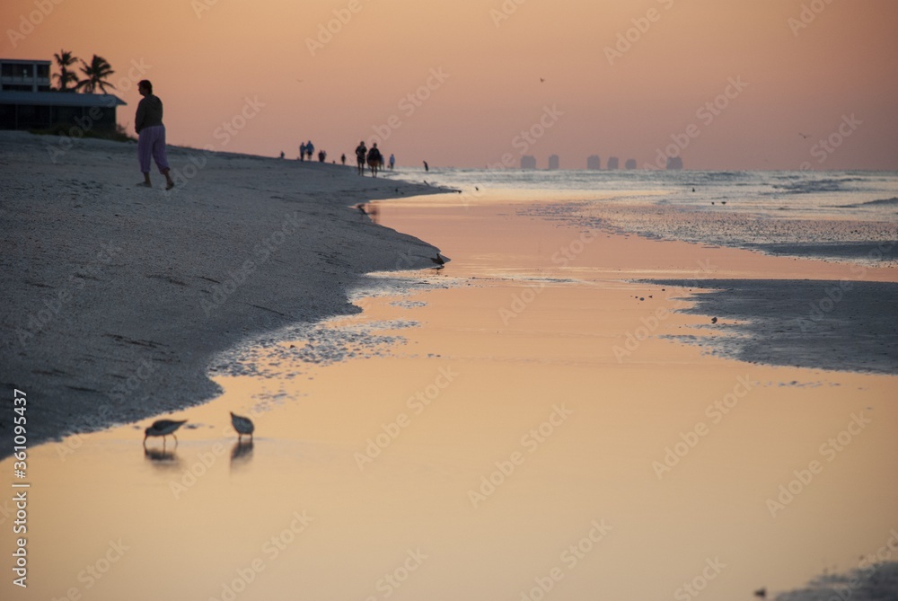 Breathtaking scenery of a beach during the golden hour with pink hues ...