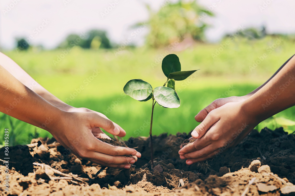 People Helping The Environment