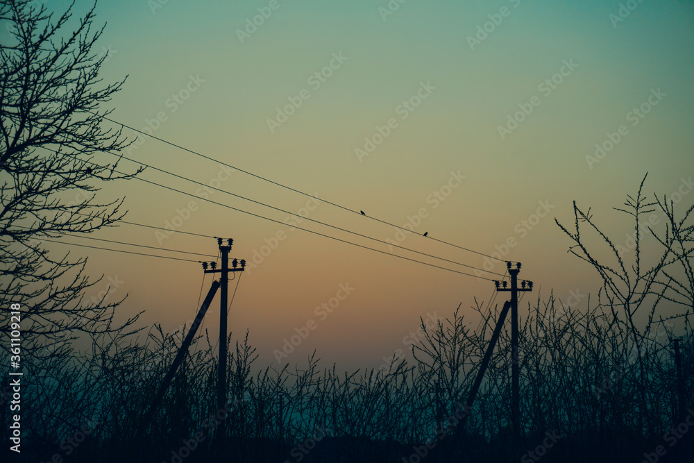 poles of electrical lines in the sunset background Stock Photo | Adobe ...