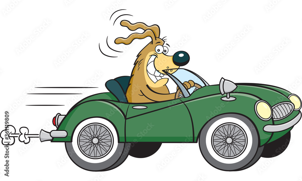Cartoon illustration of a dog driving a convertible sports car with ...