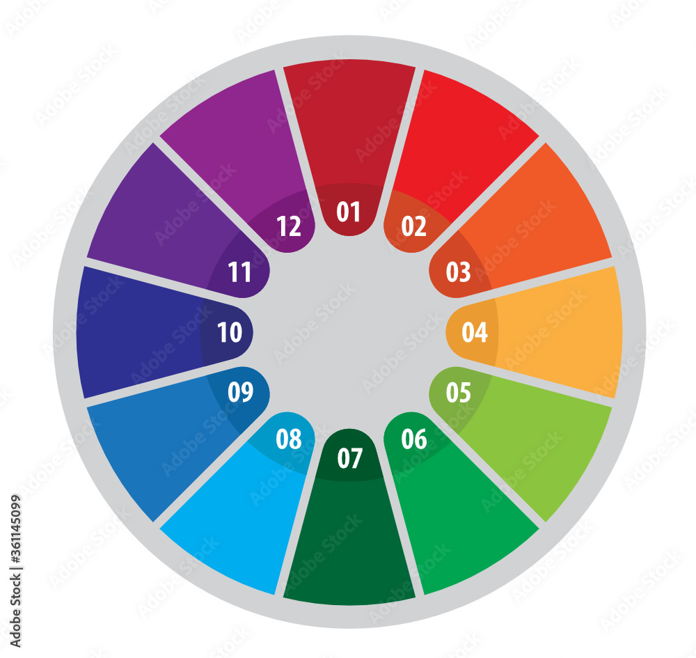 Twelve Step Circular Process Infographic Stock Vector | Adobe Stock