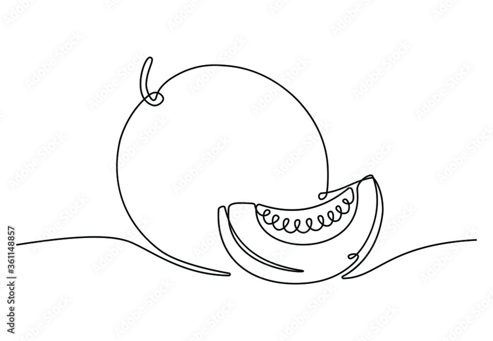 Сontinuous one line drawing of whole and sliced melon for fruit garden ...