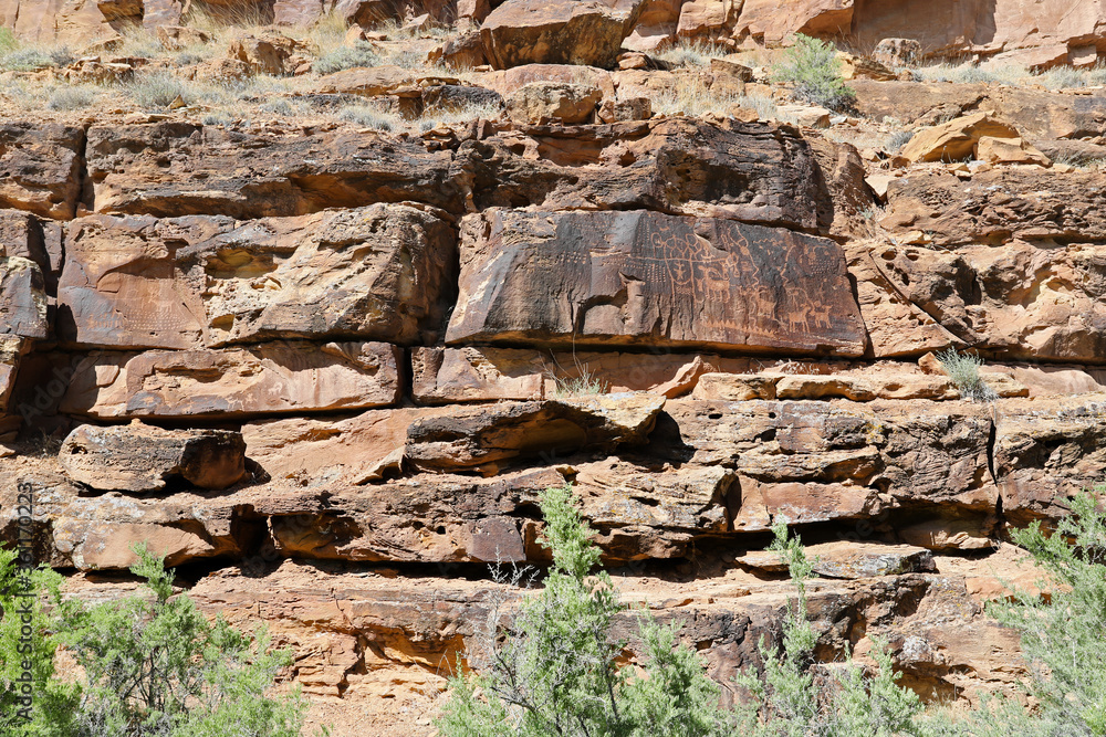 Native American Indian rock art petroglyph sheep herd Utah 1449. Nine ...