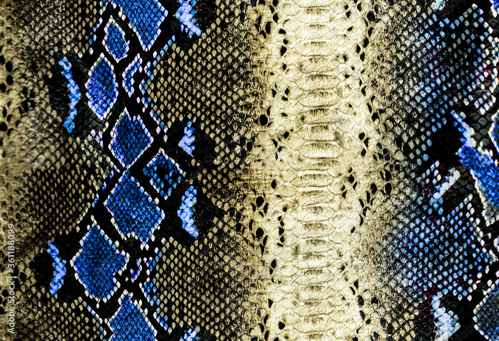 leather surface with python blue skin texture. Snake skin pattern in ...