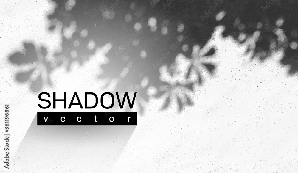 Tree shadow effect. Soft light and shadows from plant branches, leaves ...