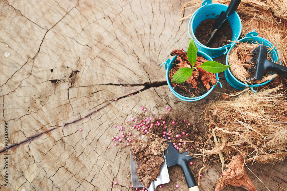 planting a little tree in the mini blue pot with the shovel and soil on ...