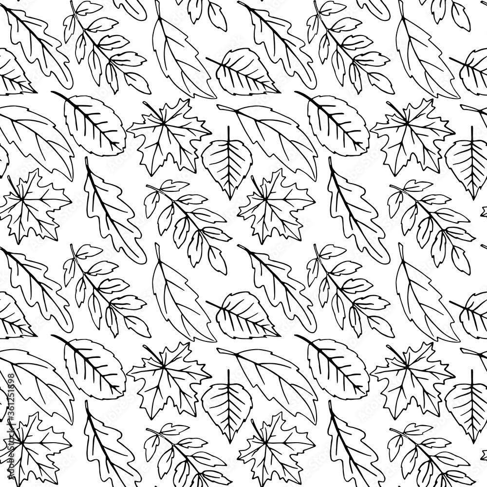 Seamless pattern falling leaves. Vector autumn texture isolated on ...
