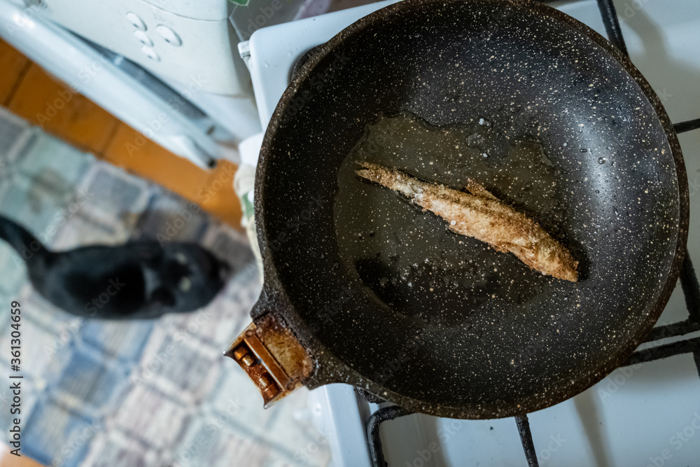 Little fried fish on the pan and black cat waiting on the kitchen’s ...