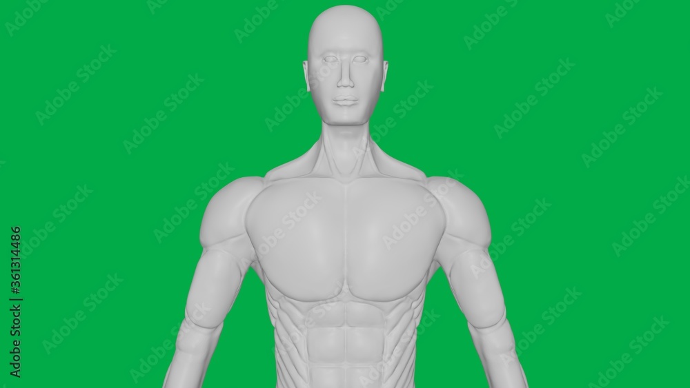 3D Rendered Muscular anatomical Human/AI Mannequin Sculpture model on ...