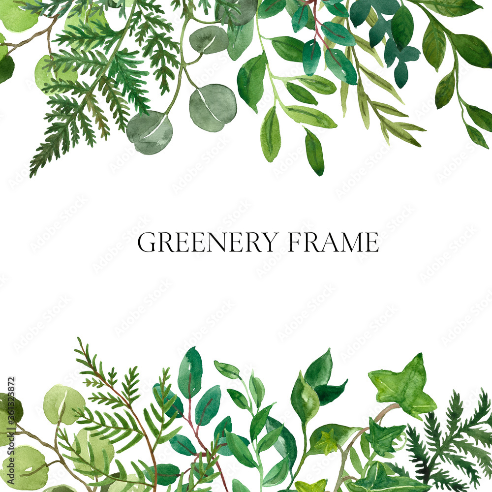 Watercolor greenery foliage border on white background. Fresh lush ...