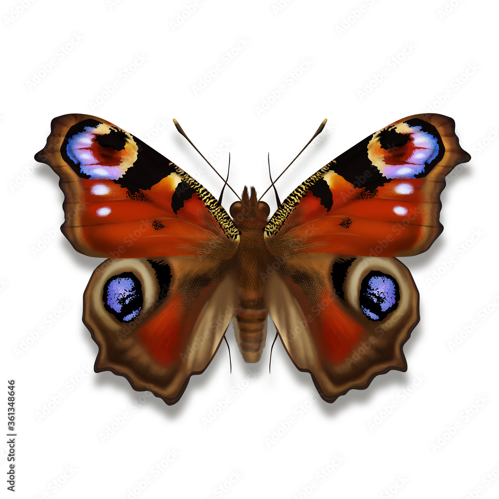 The peacock butterfly illustration named Aglais io with explosive deep ...