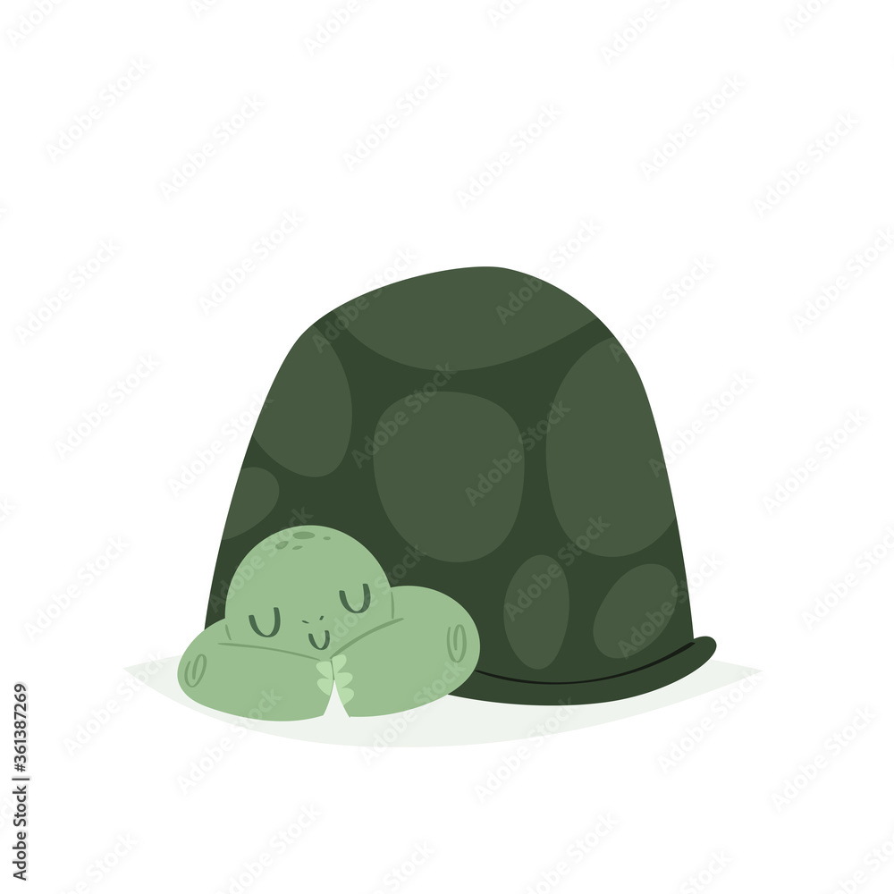 Tortoise Shell Cartoon