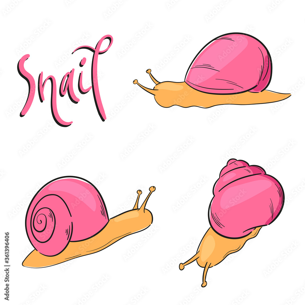 Snail Drawing Label