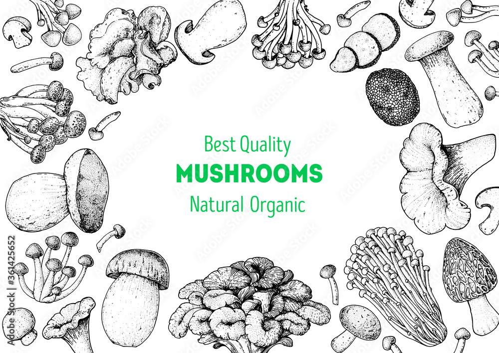 Edible mushrooms hand drawn sketch. Vector illustrations collection ...